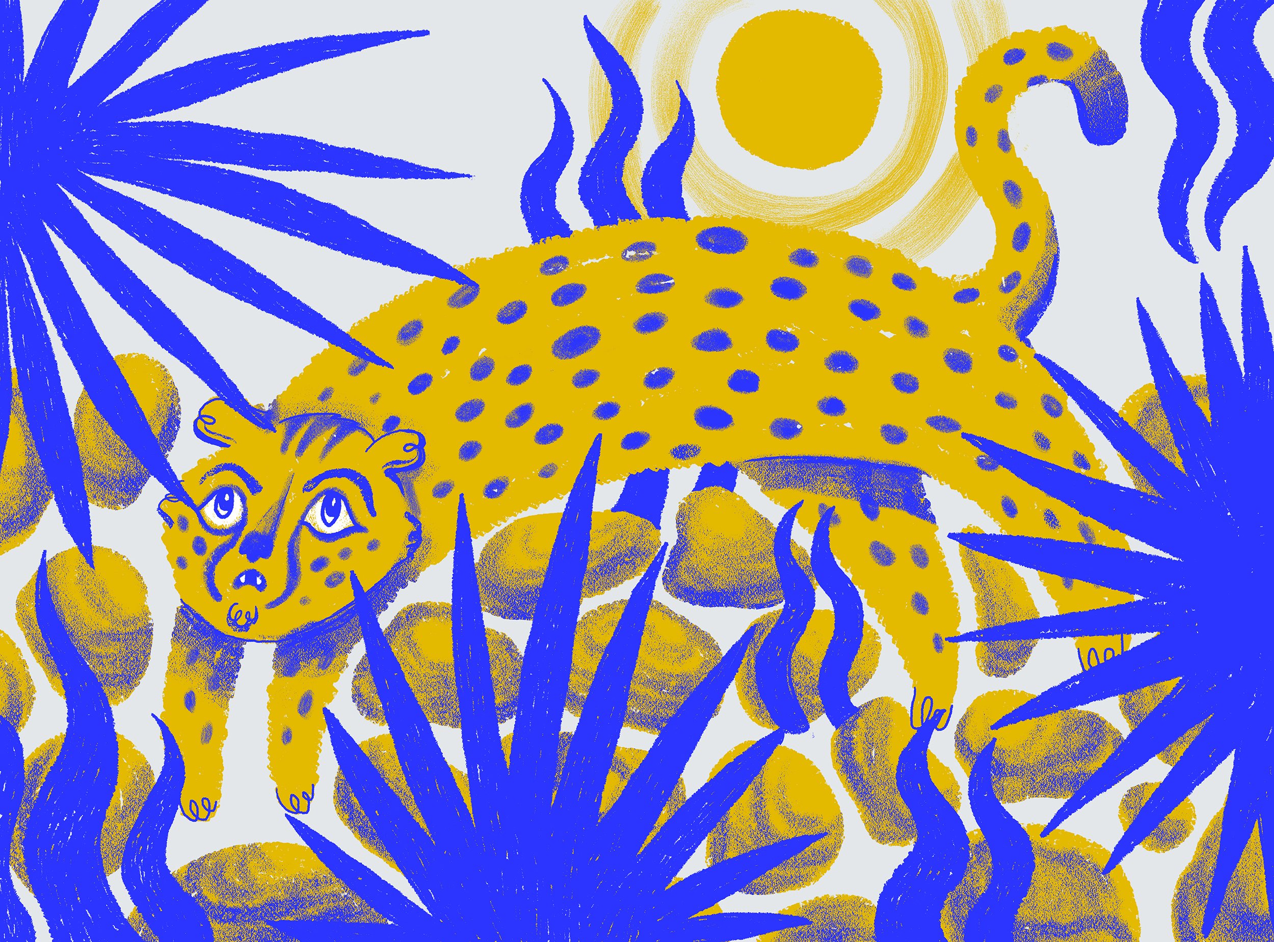 Dev Valladares The Design Kids